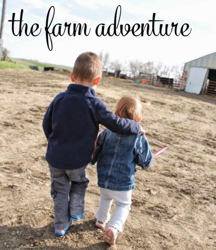 10 Reasons Every Kid Should Spend Time on the Farm - Catholic Sprouts