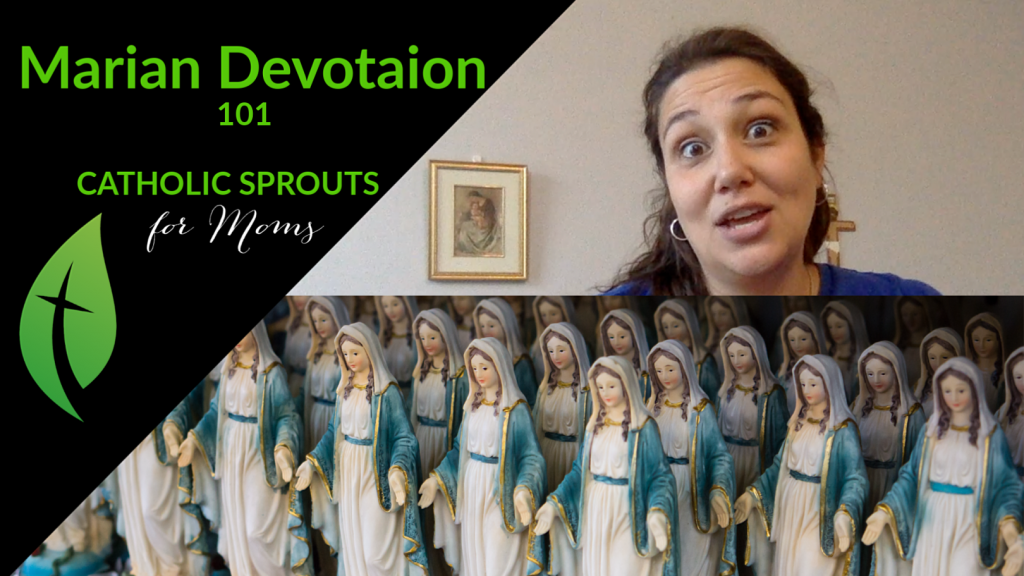 Marian Devotion Cover | Catholic Sprouts