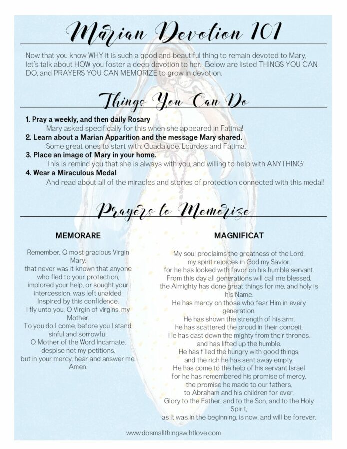 Marian Devotion 101 | Catholic Sprouts