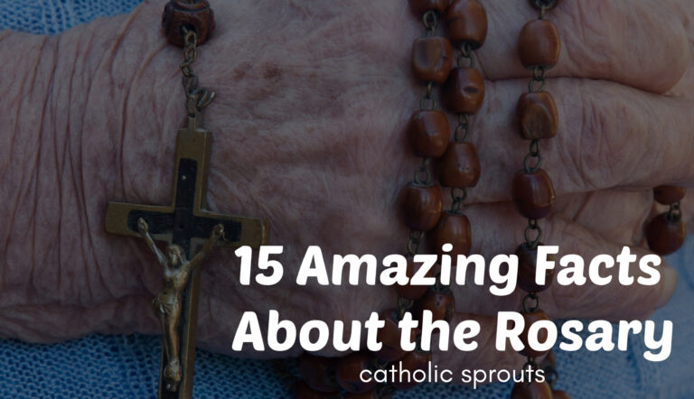 15 amazing facts about the Rosary | Catholic Sprouts