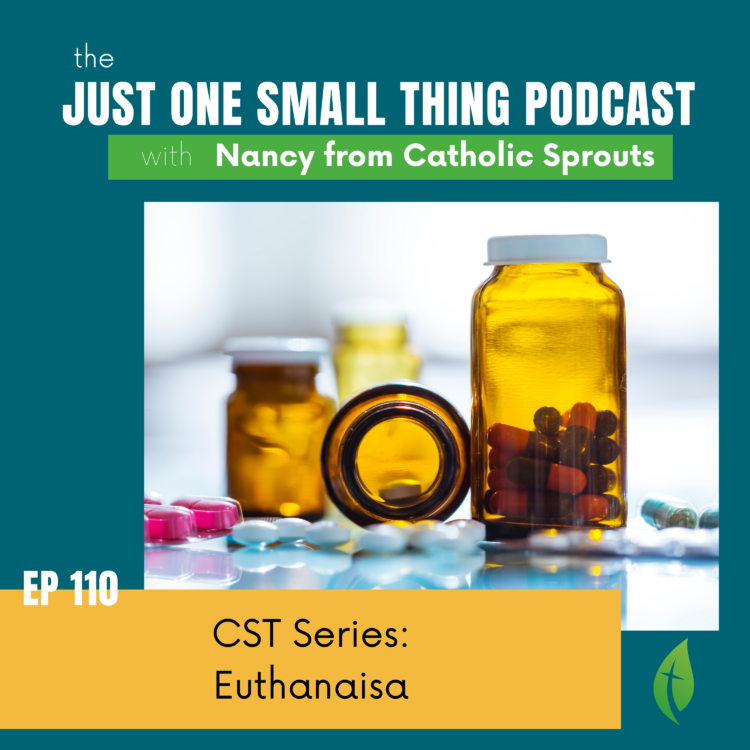 The Just One Small Thing Podcast | Catholic Sprouts